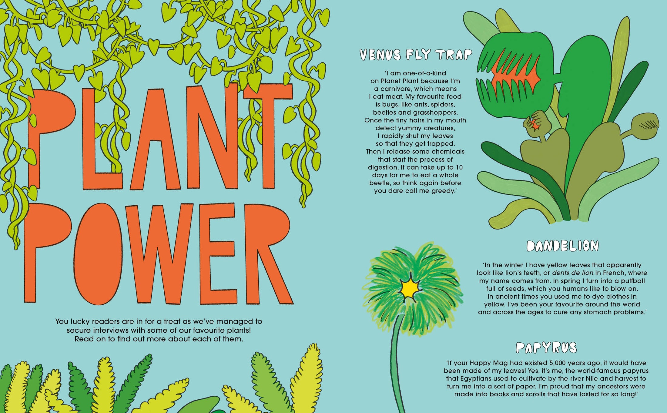 ANORAK - PLANTS - VOL 65 – Anorak Magazine
