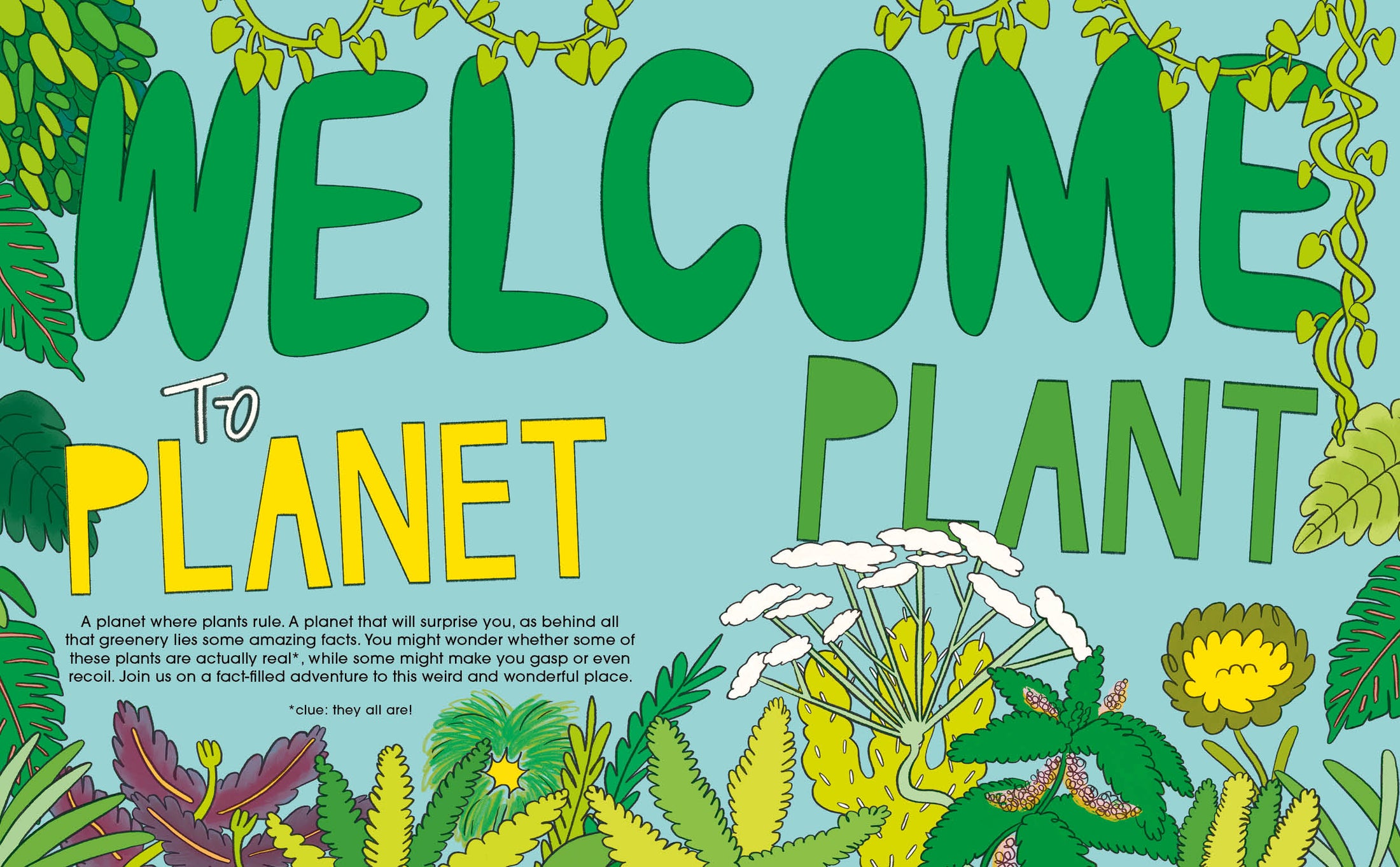 ANORAK - PLANTS - VOL 65 – Anorak Magazine