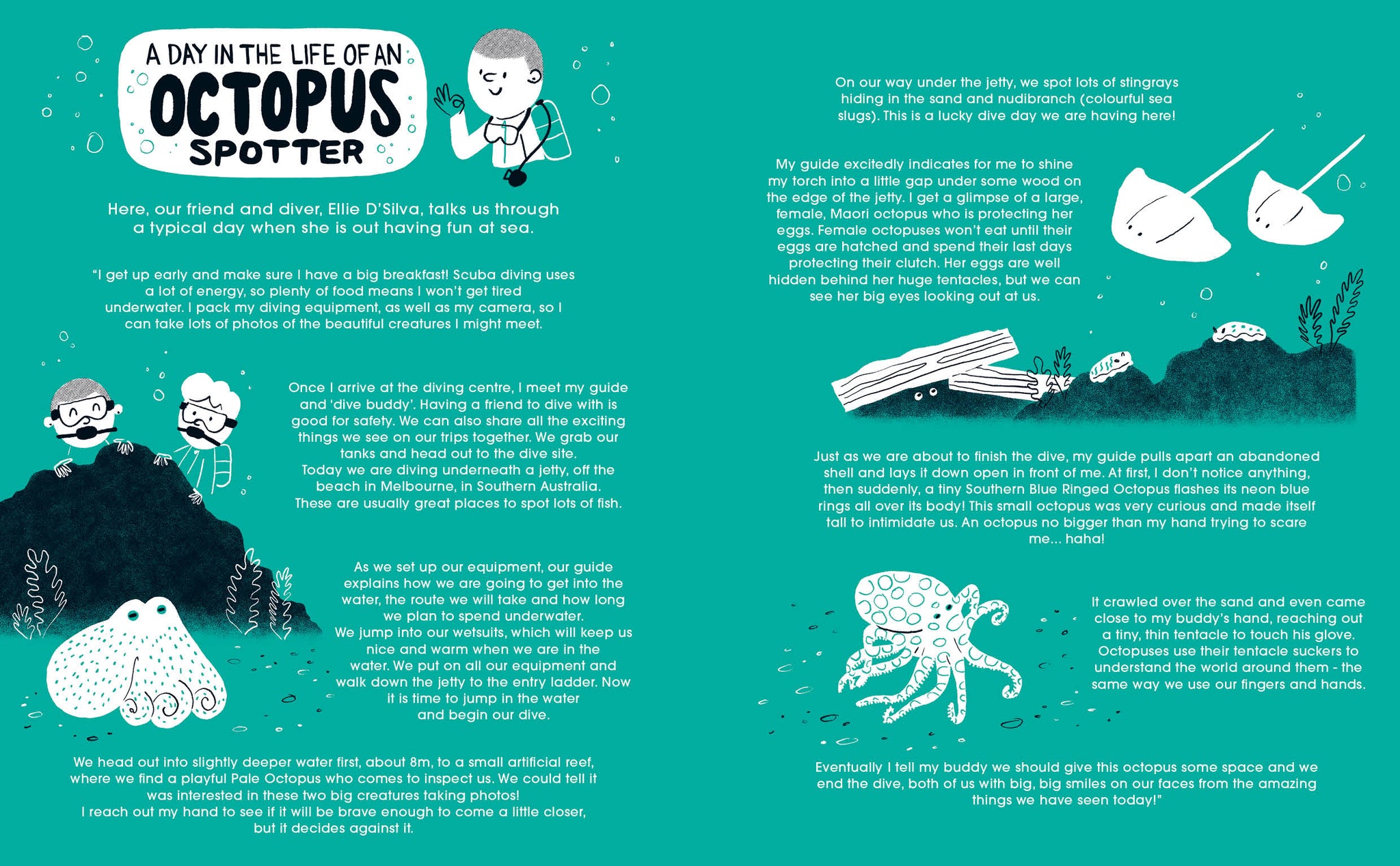 ANORAK - OCTOPUS - VOL 64 – Anorak Magazine